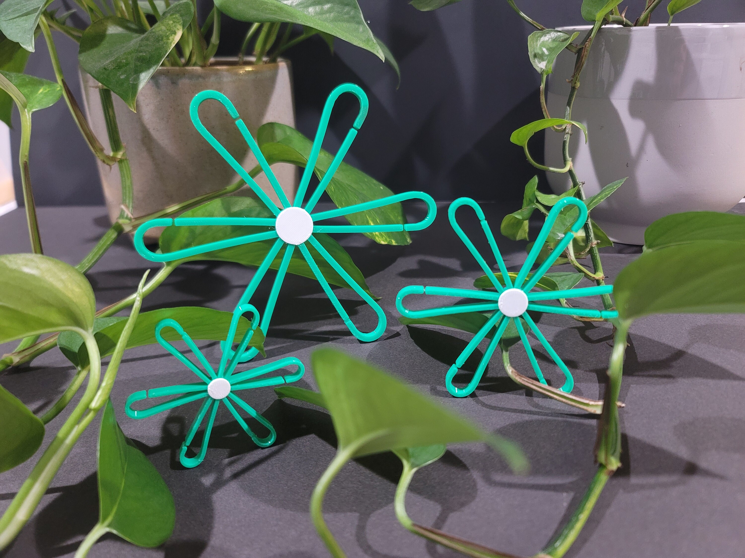 Flower Shaped Stem Holders - Plant Support - Plant Accessories - Etsy