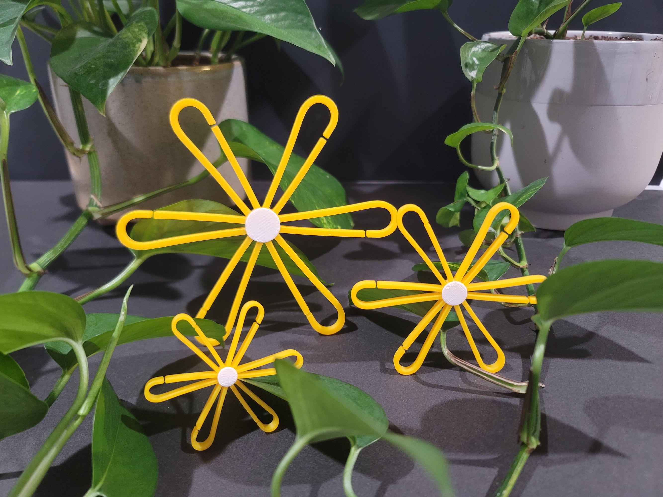 Flower Shaped Stem Holders - Plant Support - Plant Accessories - Etsy