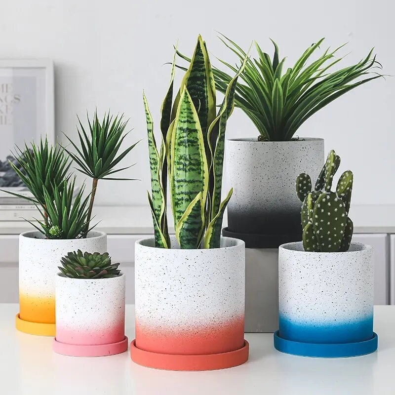 Home Decor Planter - Etsy