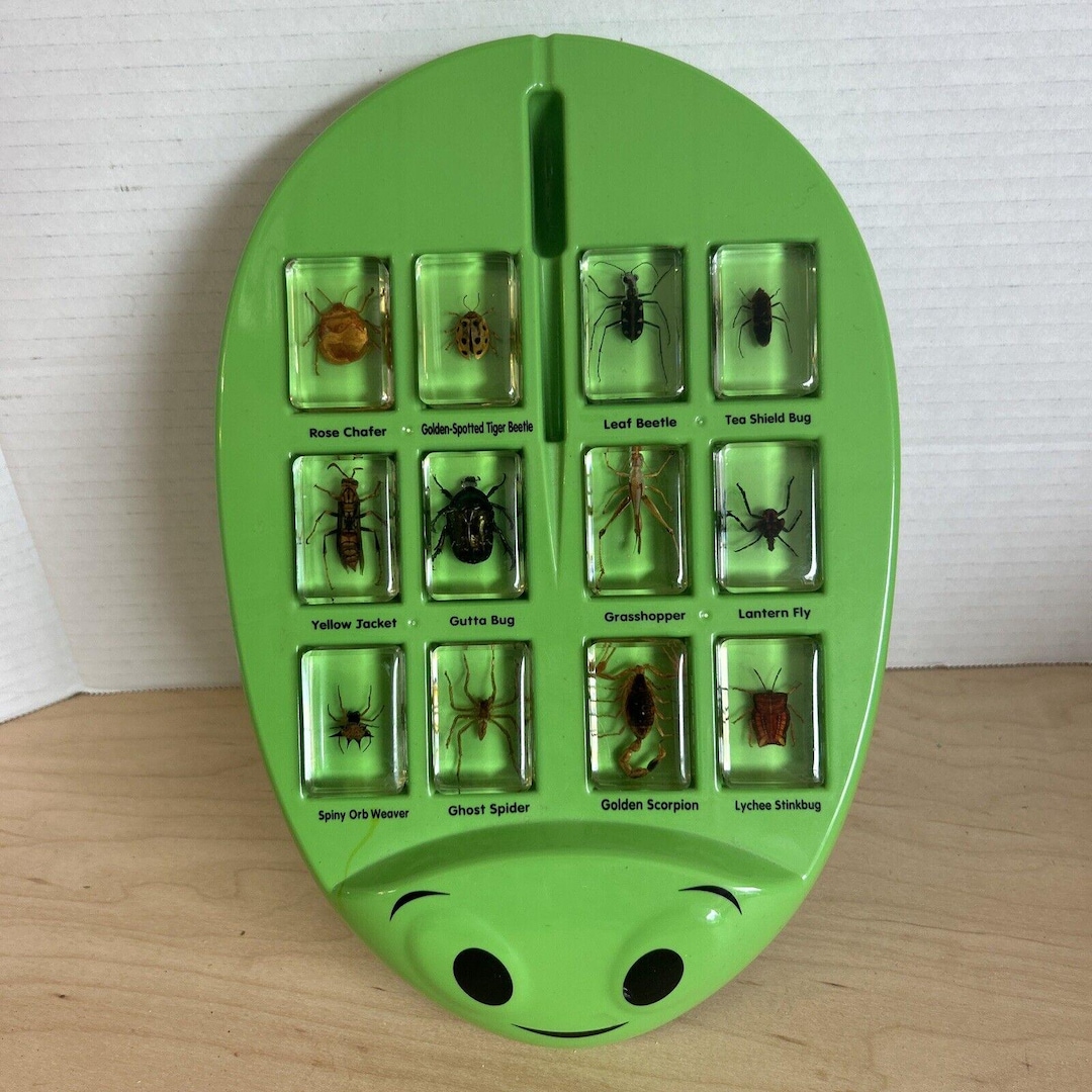 Lakeshore Real Bugs Discovery Kit Set of Insects & Spiders - Etsy
