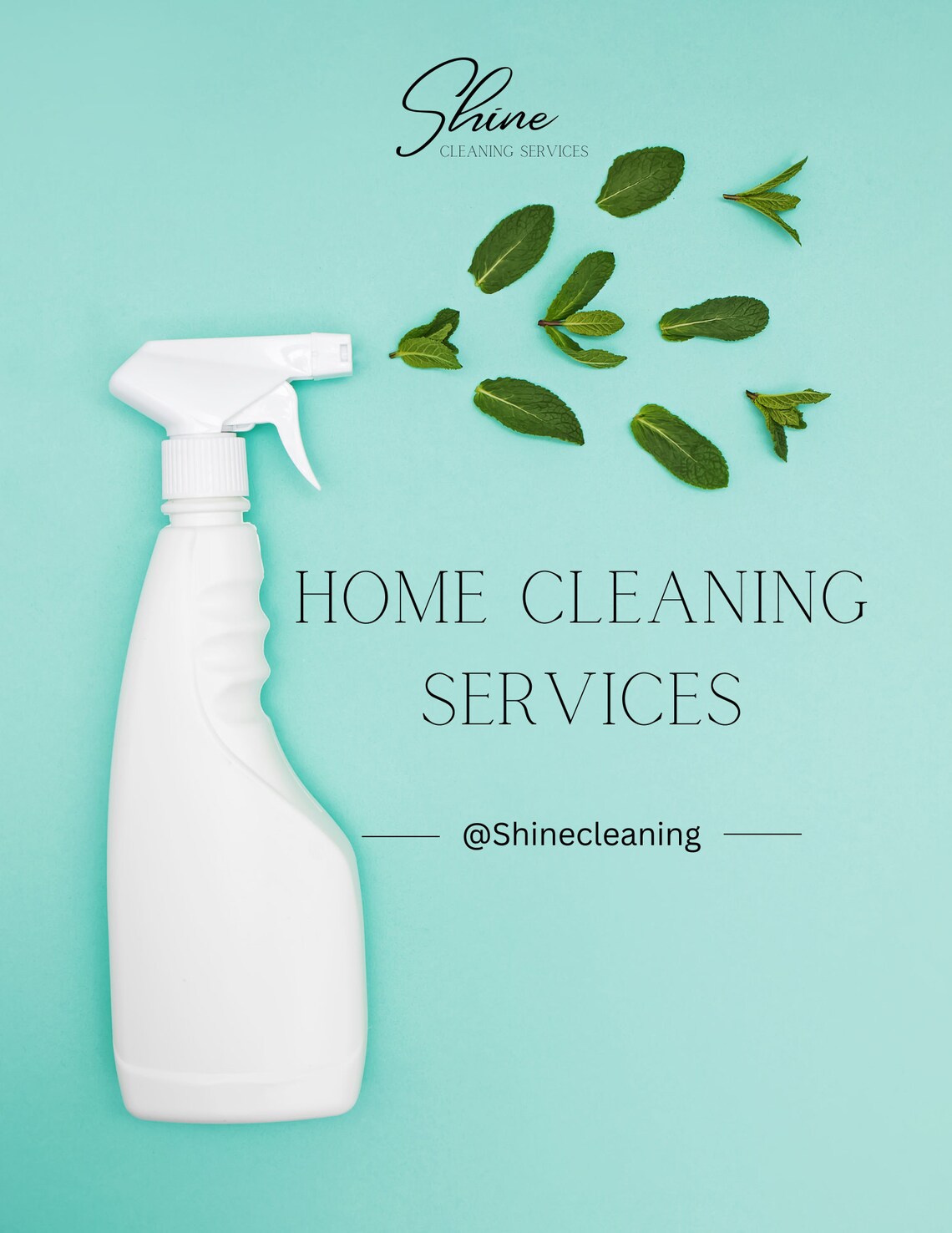 Editable Cleaning Services Template Ready to Use in Your Businesses ...
