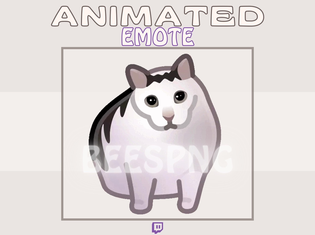 Animated Twitch Emote '' HUH Cat'' Emotes for Twitch Cat Emotes, Meme ...