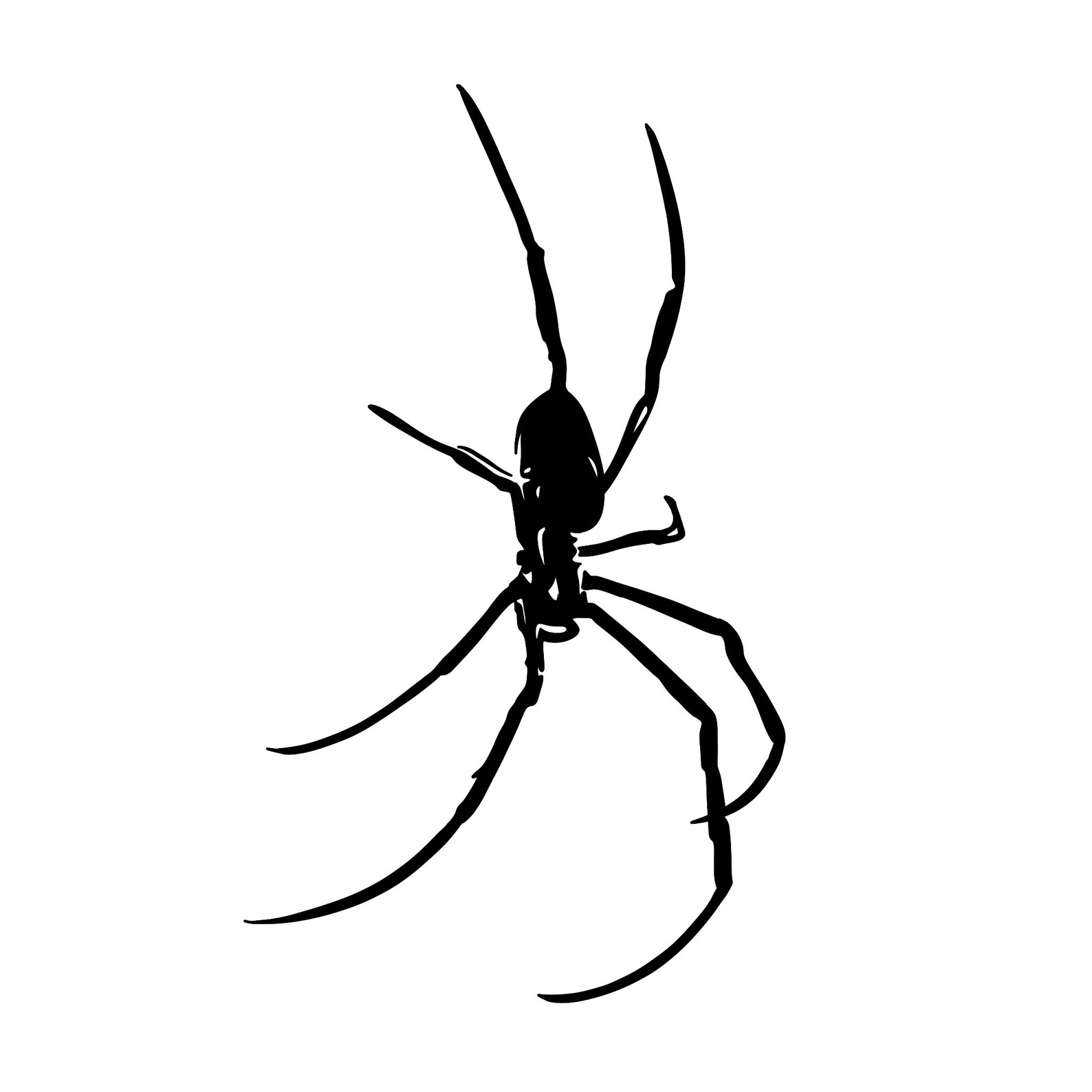 SPIDER DESIGN - Etsy