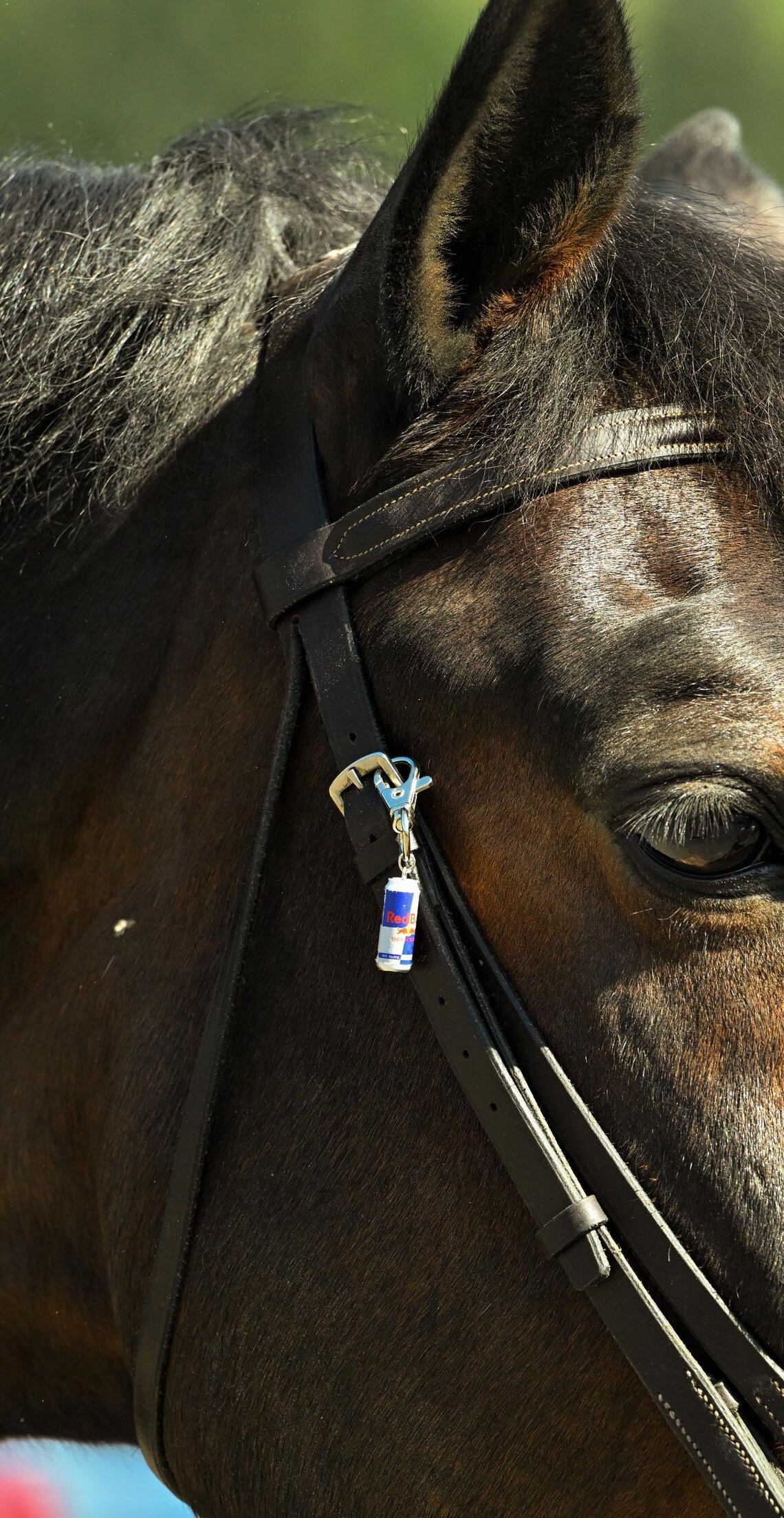 Redbull Bridle Charm - Etsy