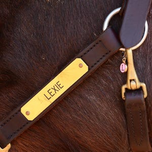 Letter Bridle Charms - Etsy