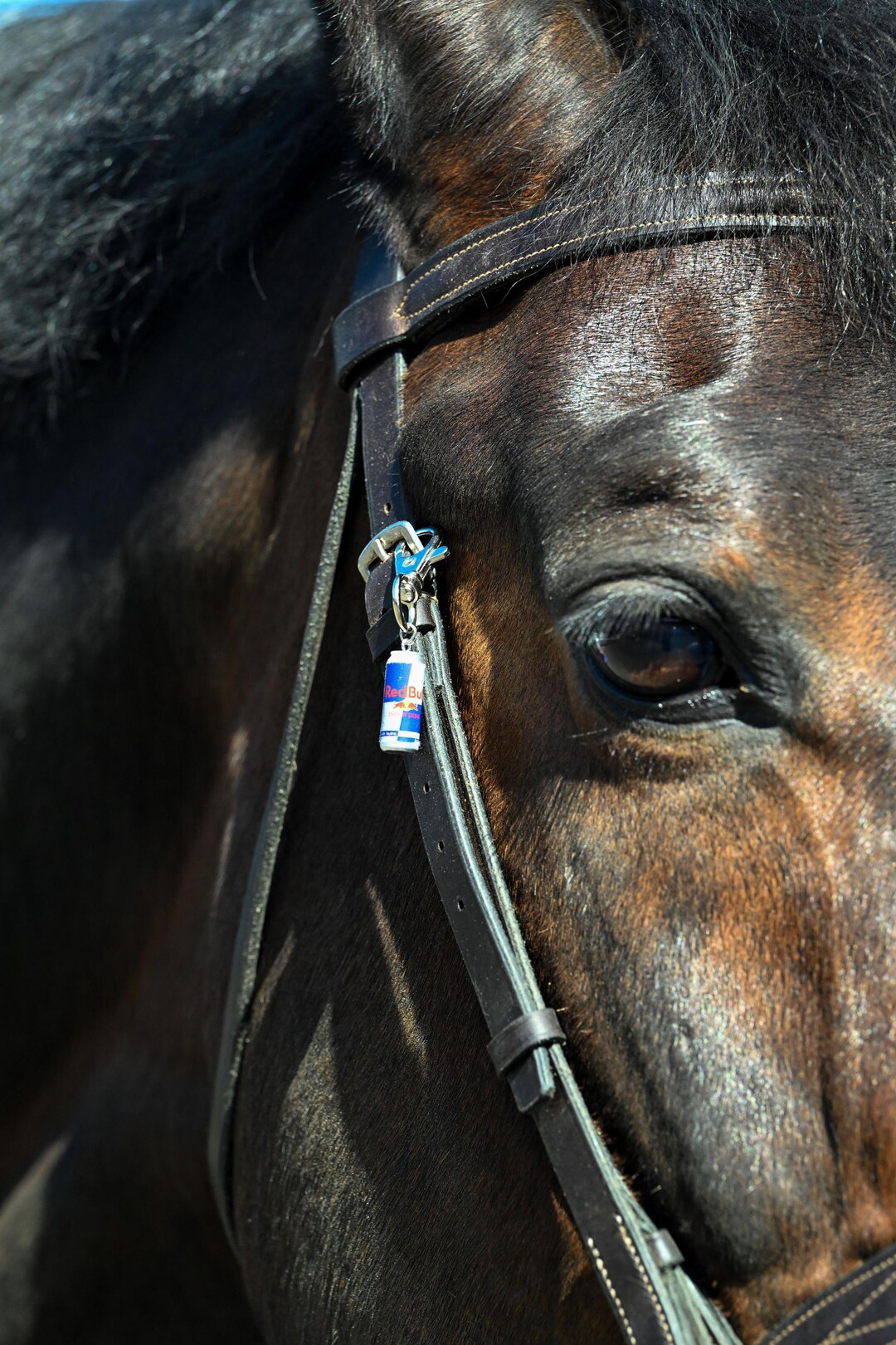 Redbull Bridle Charm - Etsy