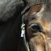 Redbull Bridle Charm - Etsy