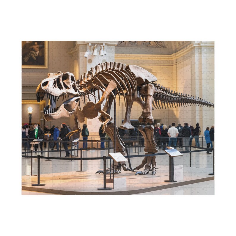 T Rex Skeleton in Museum - Etsy