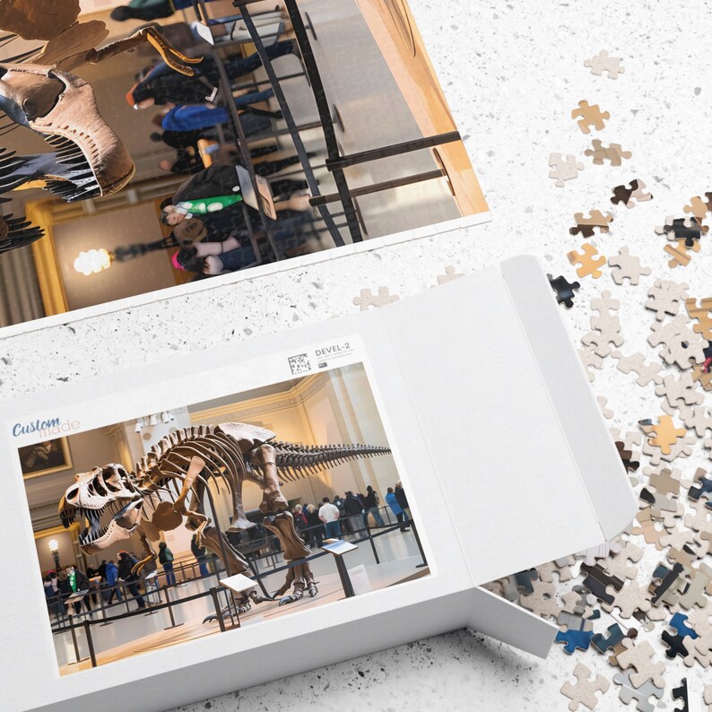 T Rex Skeleton in Museum - Etsy