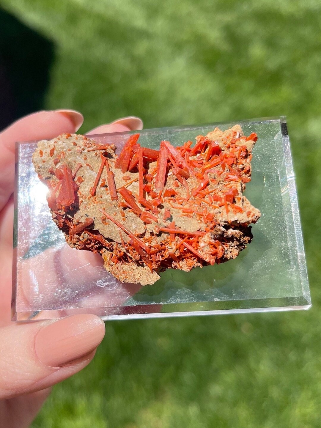 Crocoite Specimen on Matrix From Adelaide Mine, Australia - Etsy