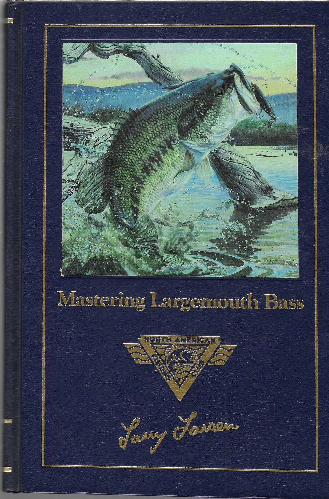 Mastering Largemouth Bass by Lay Larsen - North American Fishing Club ...