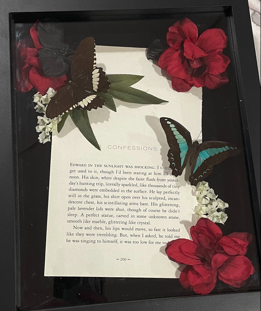 Swallowtail Butterfly Twilight Shadowbox - Etsy