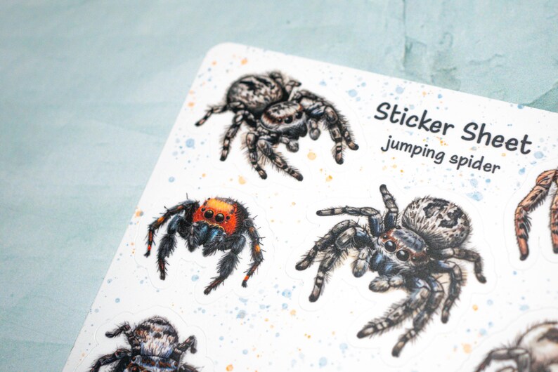 Jumping Spider Sticker Sticker Sheet - Set of 12 Stickers for Journal ...