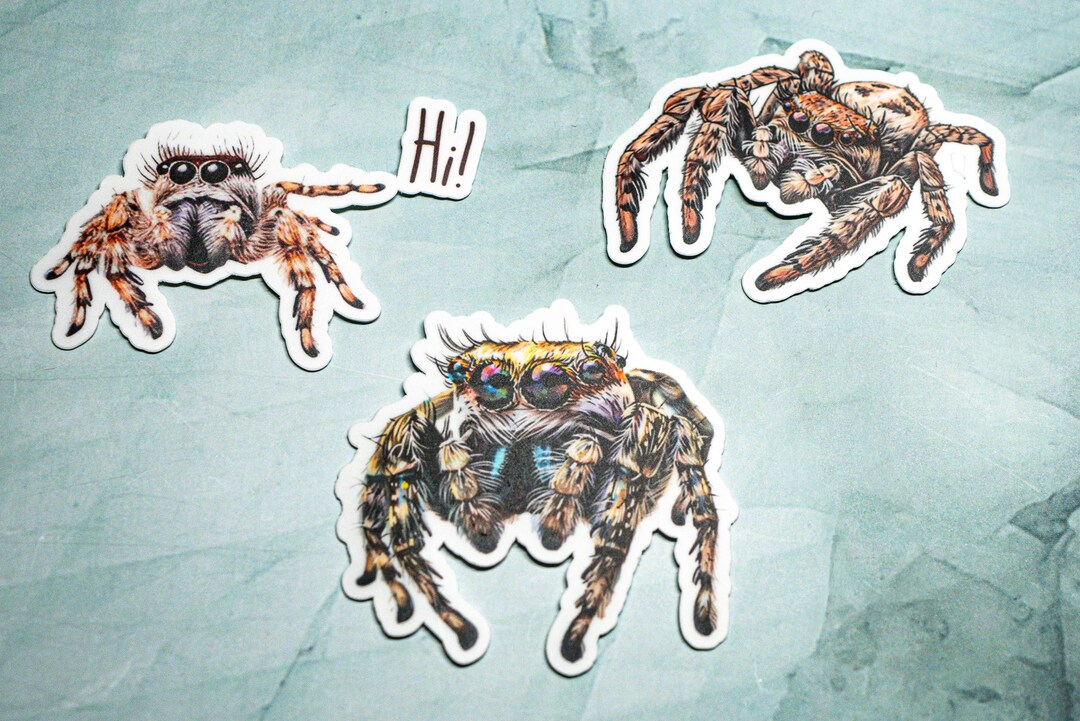 Spider Vinyl Sticker - Vinyl Sticker - Stickers for Journal, Planner ...