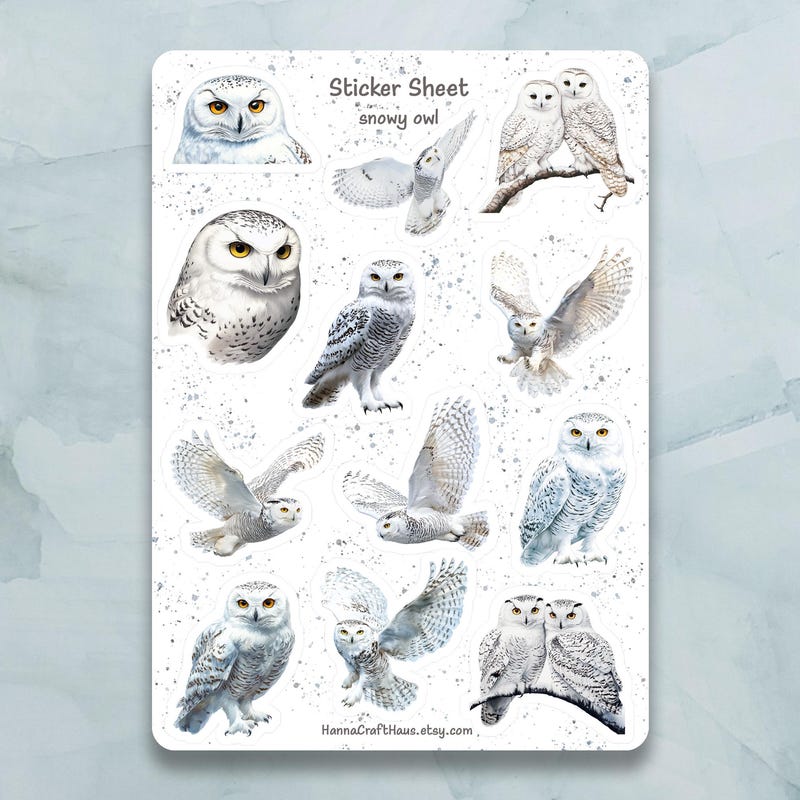 Owl Sticker - Etsy UK