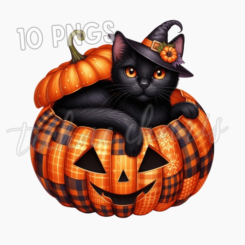 Black Cat Pumpkin Patch PNG | Halloween Witch Kitten Clipart (10 PNG ...