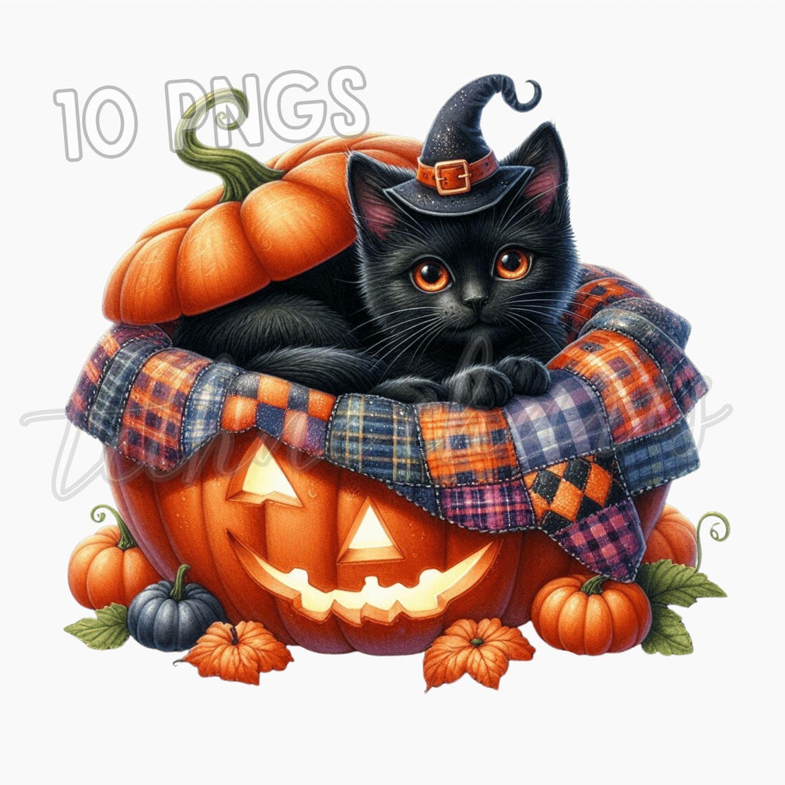 Black Cat Pumpkin Patch PNG | Halloween Witch Kitten Clipart (10 PNG ...