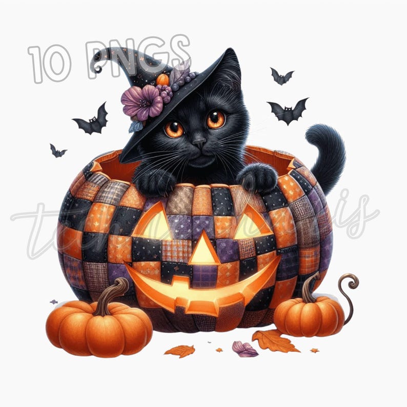 Black Cat Pumpkin Patch PNG | Halloween Witch Kitten Clipart (10 PNG ...