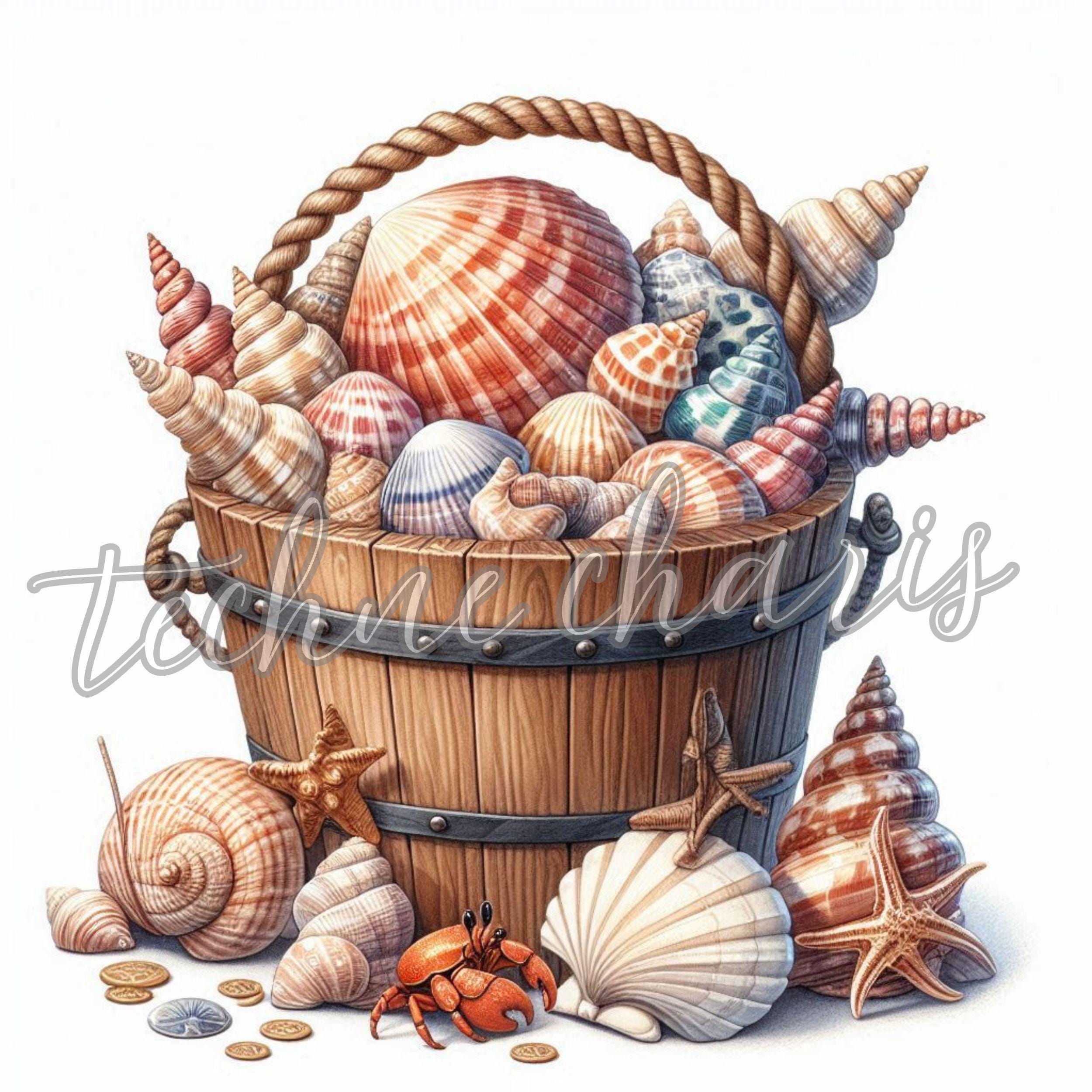 Seashell Bucket Clipart | 10 High-quality Watercolor Jpgs, Beach Summer ...