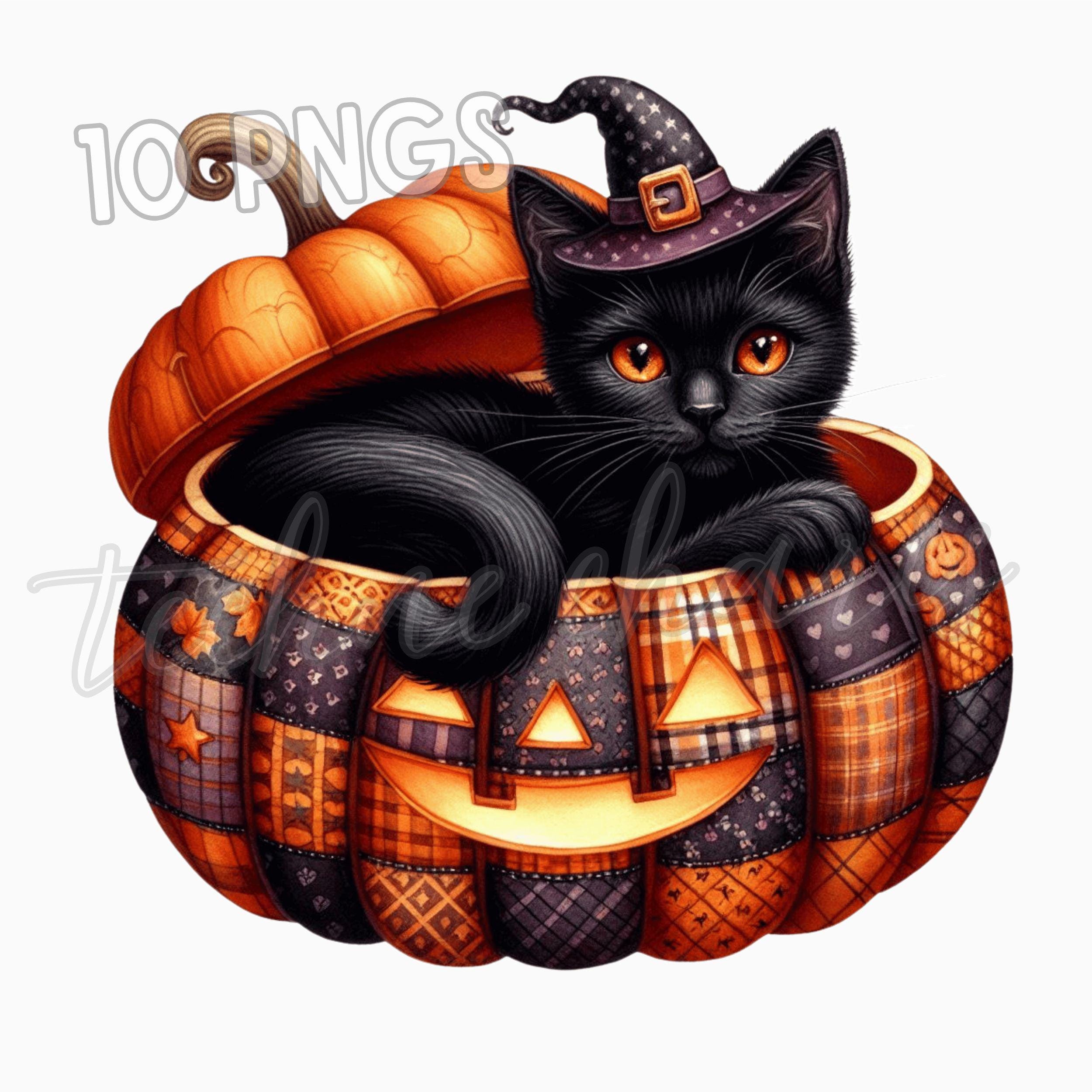 Black Cat Pumpkin Patch PNG | Halloween Witch Kitten Clipart (10 PNG ...
