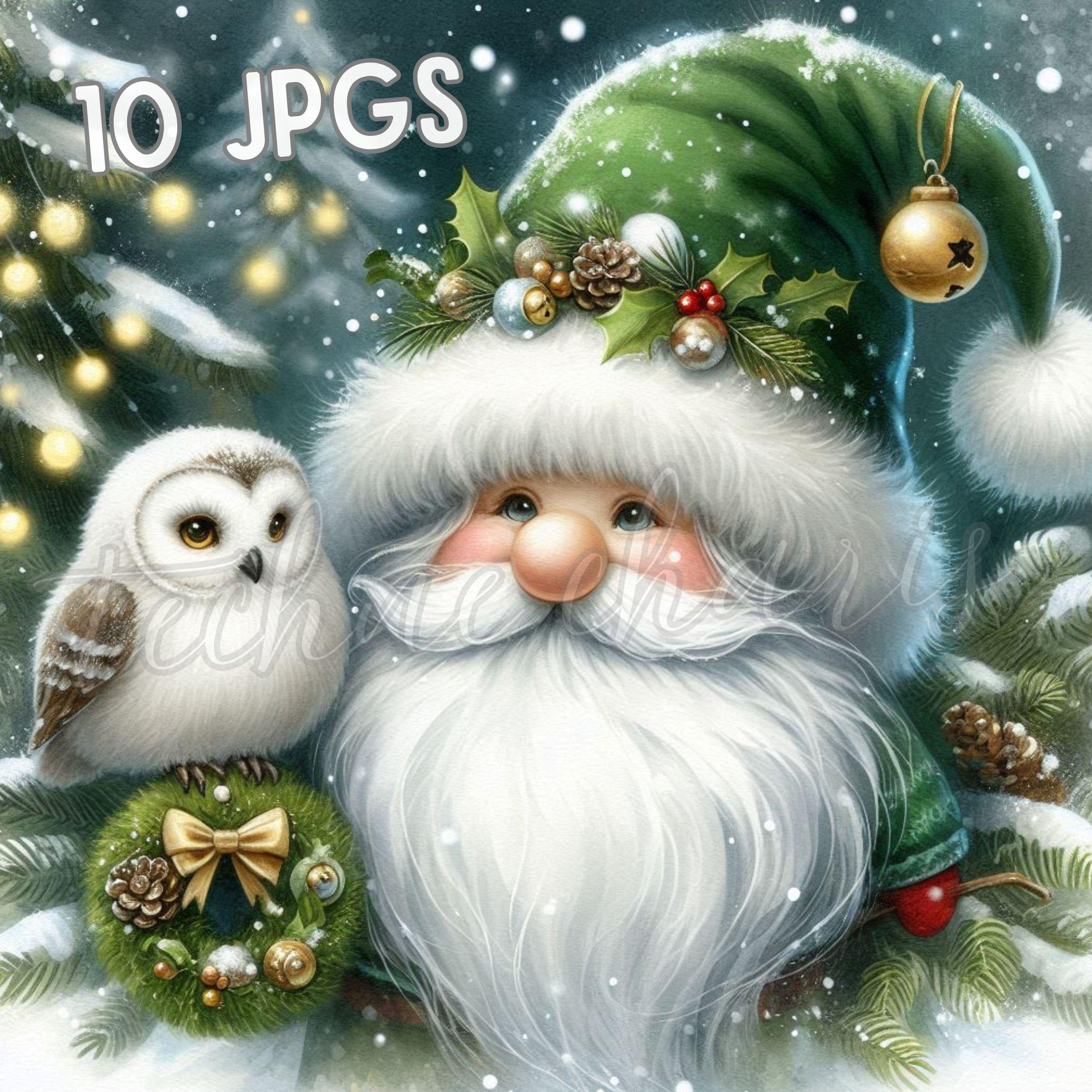 Christmas Gnome Clipart Set 10 Jpgs Green Hat Gnome With Owl & Wreath ...