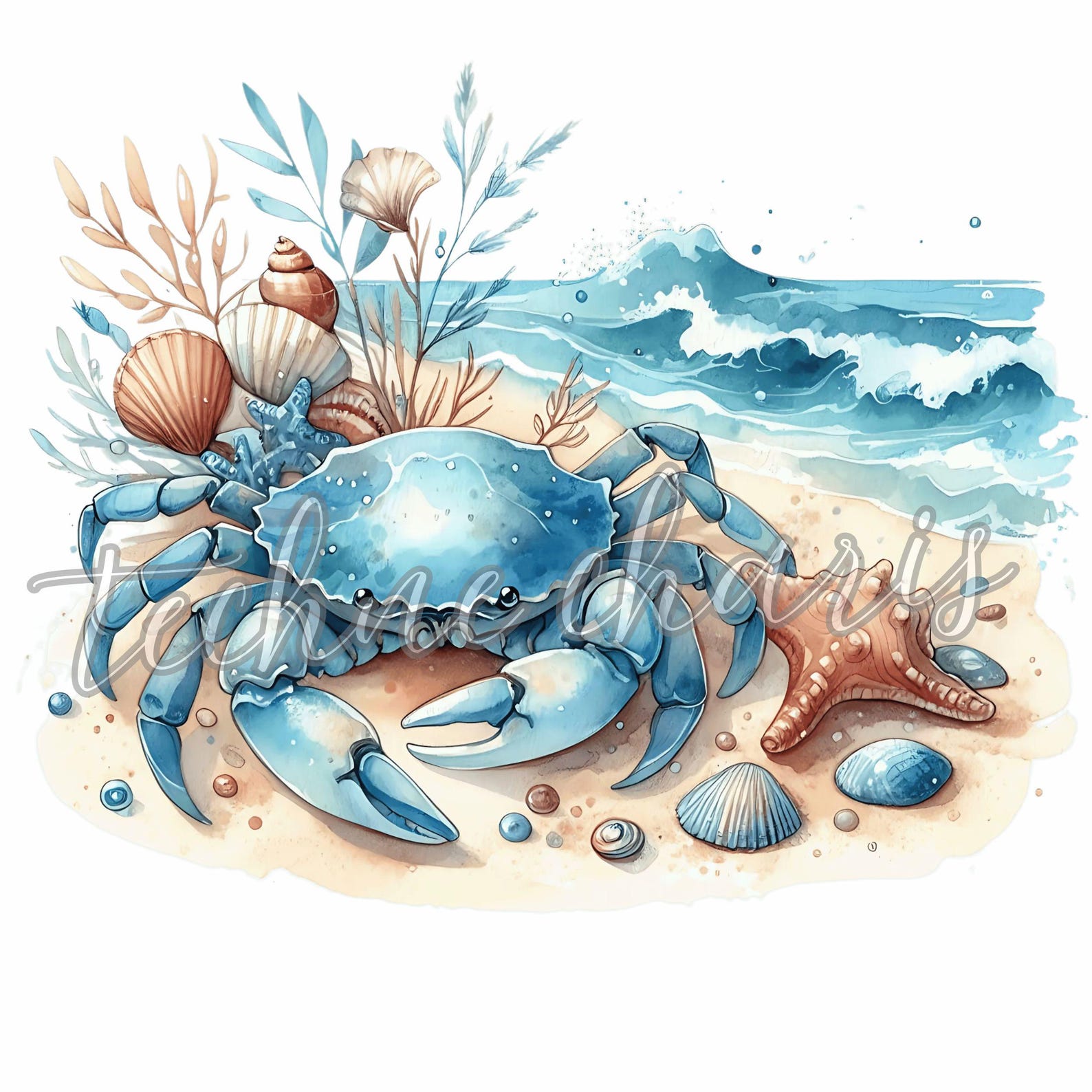 Watercolor Nautical Clipart, Beach & Ocean PNG (instant Download) - Etsy