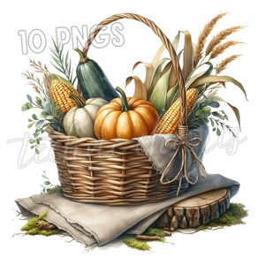 Autumn Basket Clipart: Watercolor Pumpkin Harvest Pngs (commercial Use ...