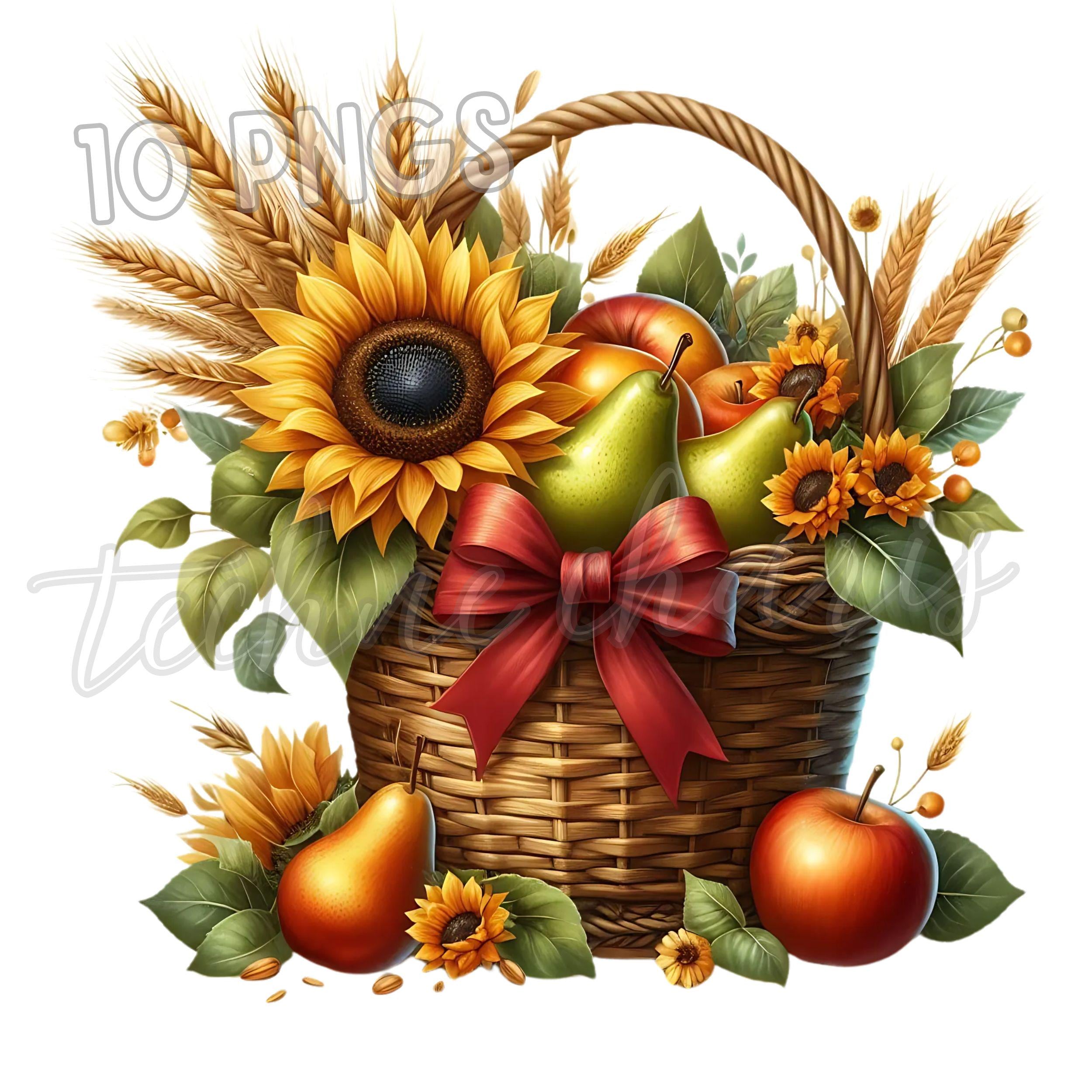 Autumn Basket Clipart: Watercolor Pumpkin Harvest Pngs (commercial Use ...