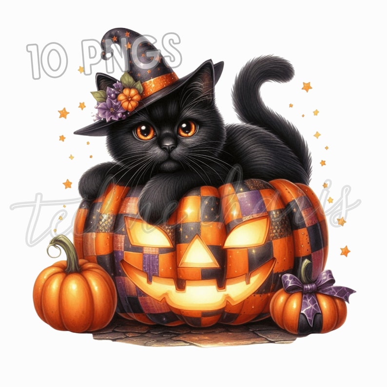Black Cat Pumpkin Patch PNG | Halloween Witch Kitten Clipart (10 PNG ...