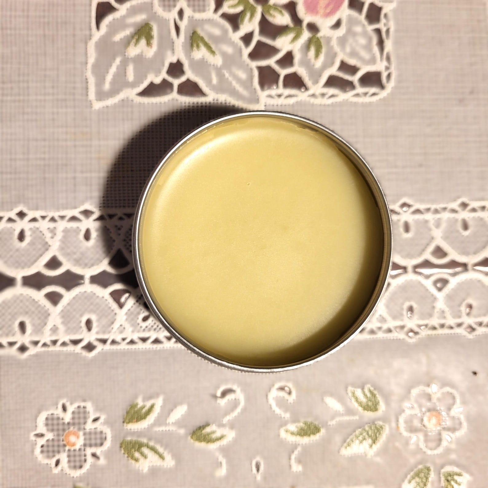 Devil’s Club Salve - Made in Alaska With Devil's Club Locally Gathered ...