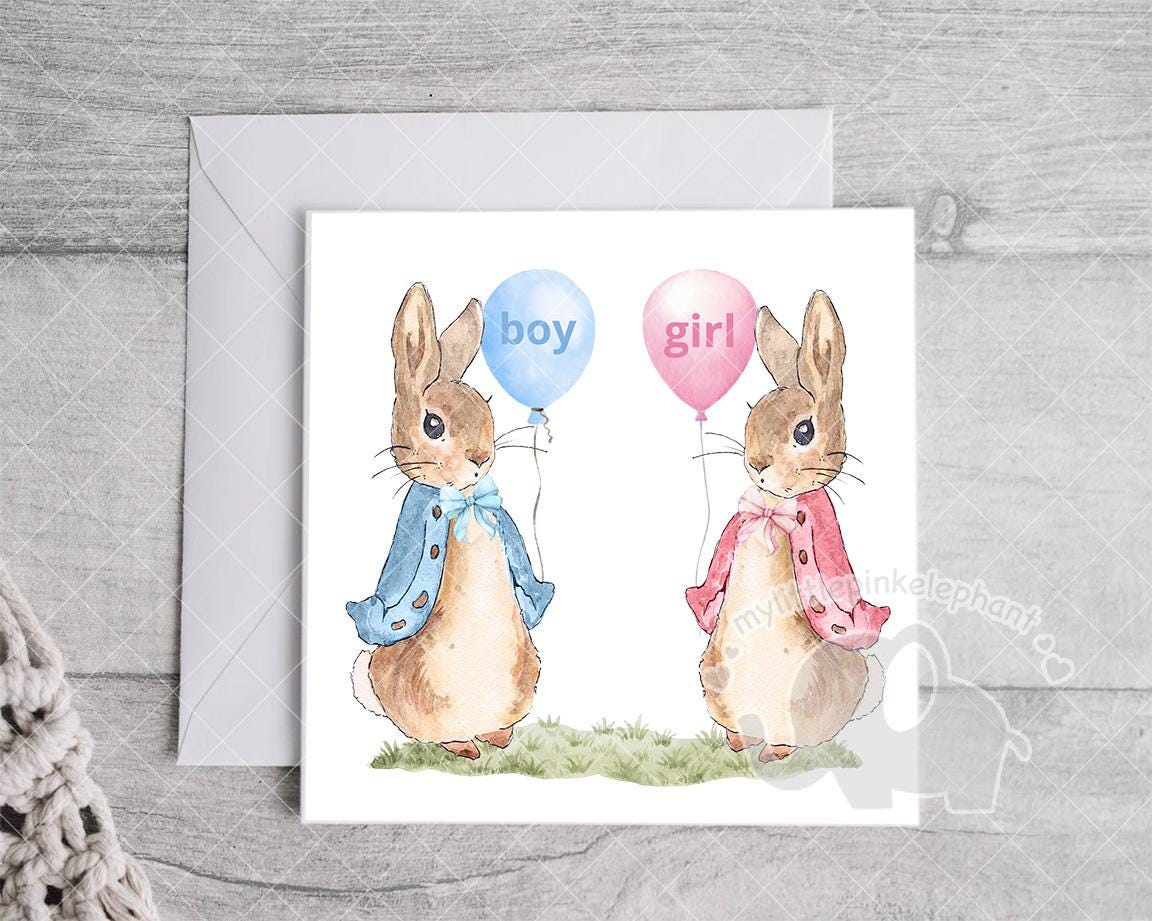 Pink & Blue Peter Rabbit PNG, Gender Reveal Girl or Boy What Will Baby ...