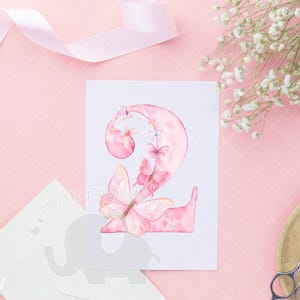 Watercolor Pink Butterfly Number 2 PNG, Two Butterfly Sublimation ...