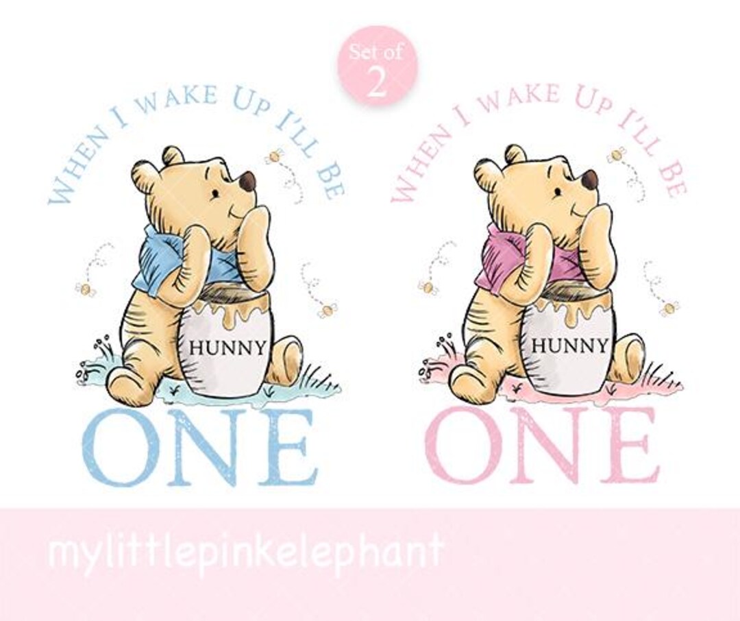 Pink & Blue ONE Winnie Sublimation PNG, Baby 1st Birthday, First ...