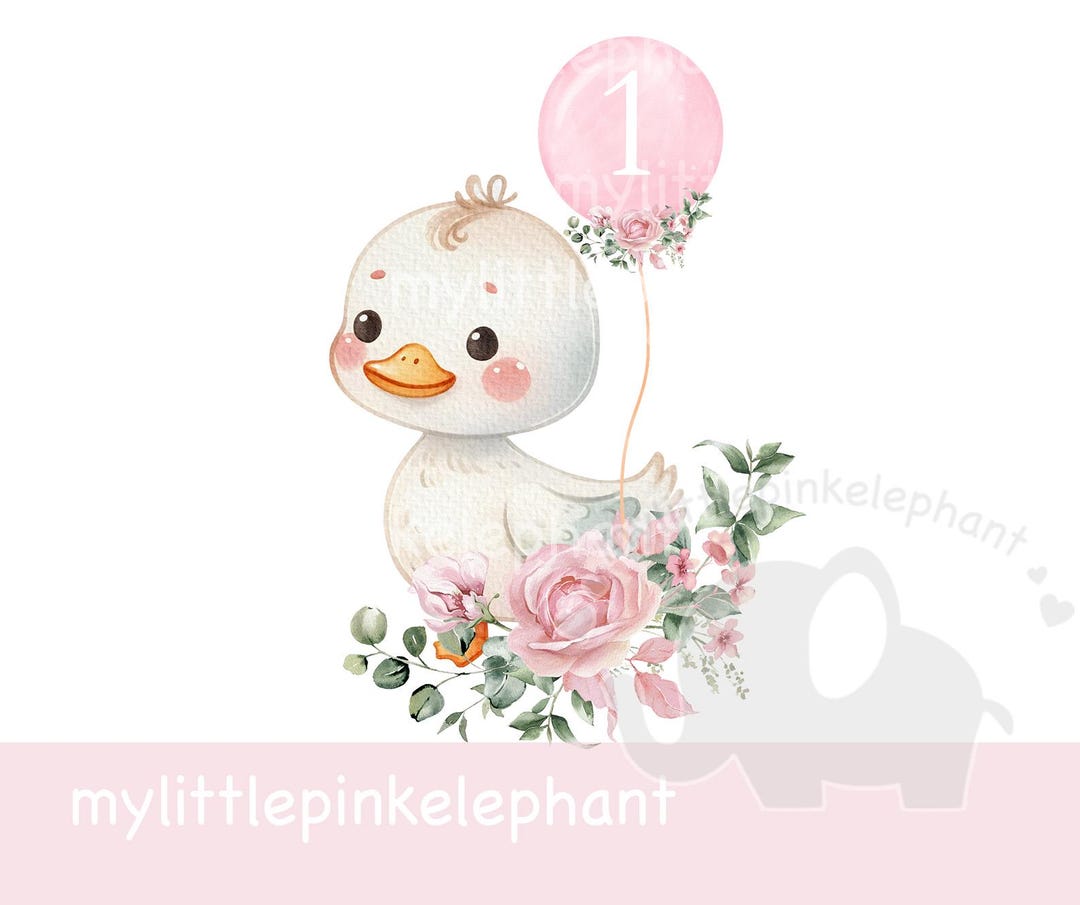 Two Duck Balloon PNG, Duck 2nd Birthday Sublimation Design, Rubber ...