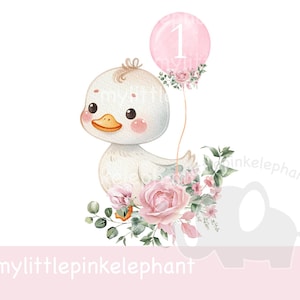 Two Duck Balloon PNG, Duck 2nd Birthday Sublimation Design, Rubber ...