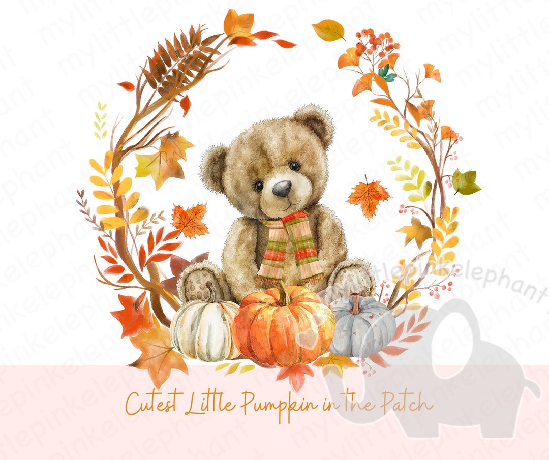 Teddy Bear Autumn Png, Cutest Little Pumpkin in the Patch PNG, Autumn ...