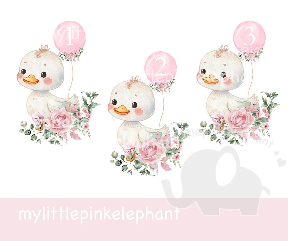 Two Duck Balloon PNG, Duck 2nd Birthday Sublimation Design, Rubber ...