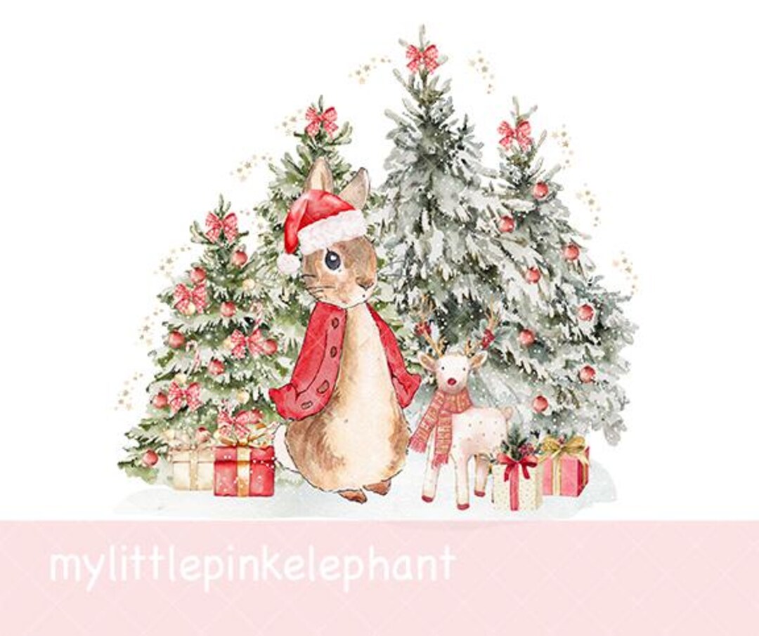 Peter Rabbit Christmas Santa Claus Design, Peter Christmas Pajama, When ...