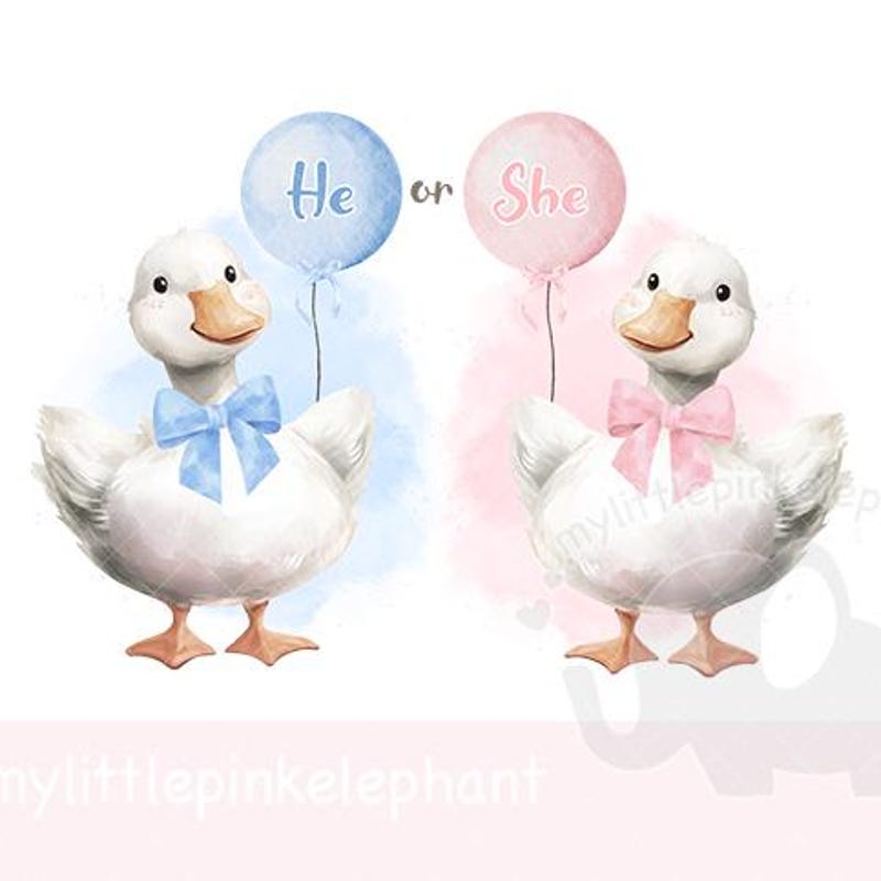Goose Png Gender Reveal - Etsy