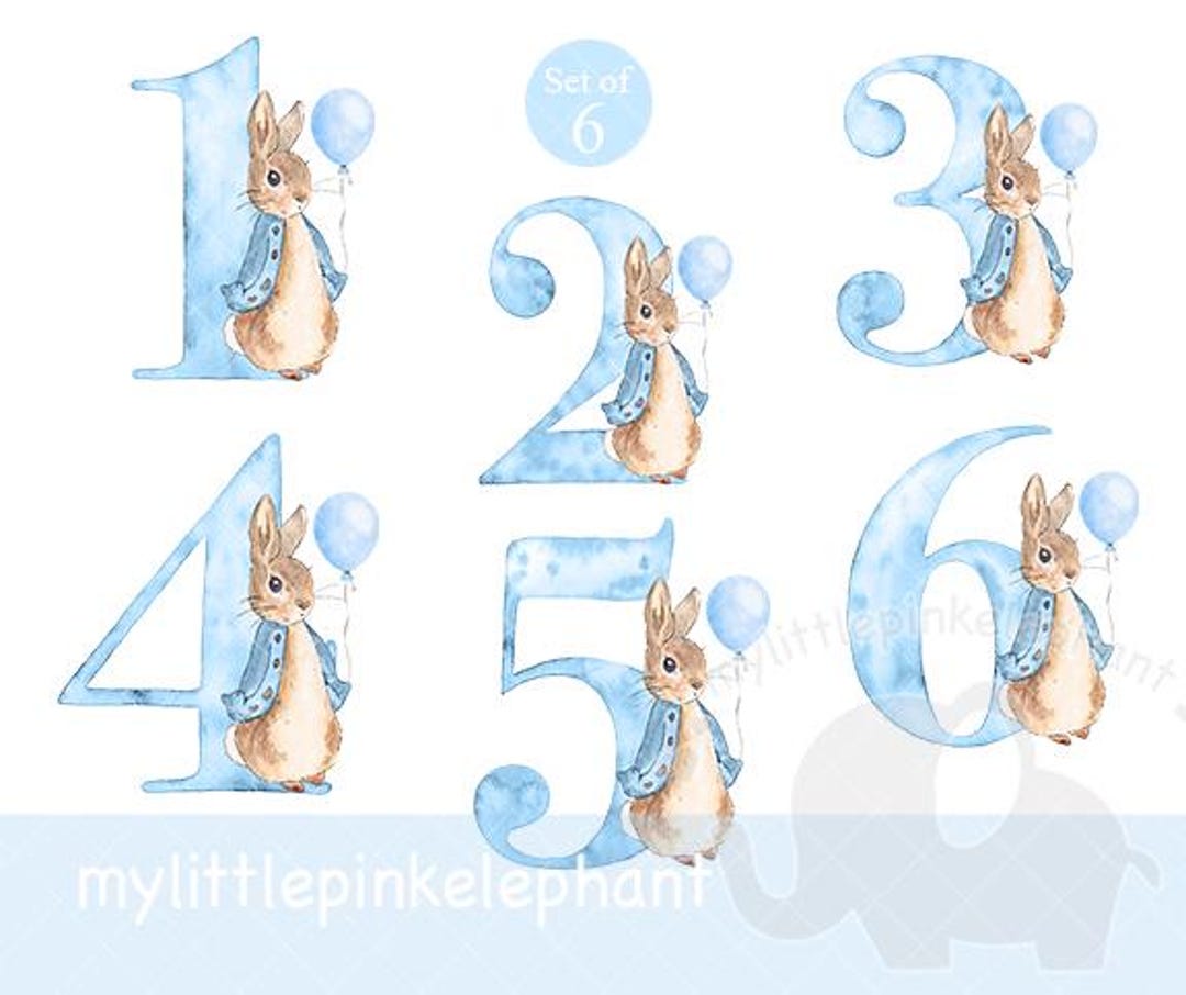 Peter Rabbit Bundle Ages 1-6 Birthday Numbers, Flopsy Bunny PNG, Set ...
