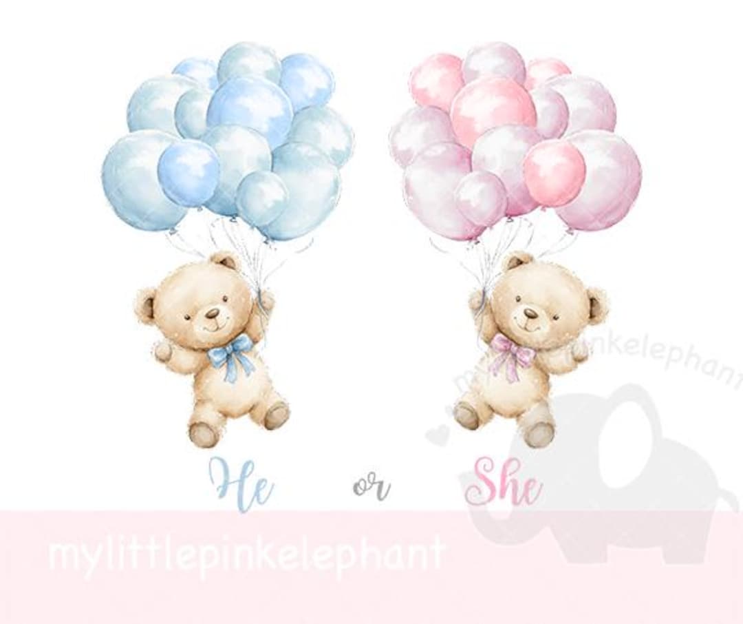 Osito de peluche rosa y azul PNG, revelación de género: ¿niña o niño ...