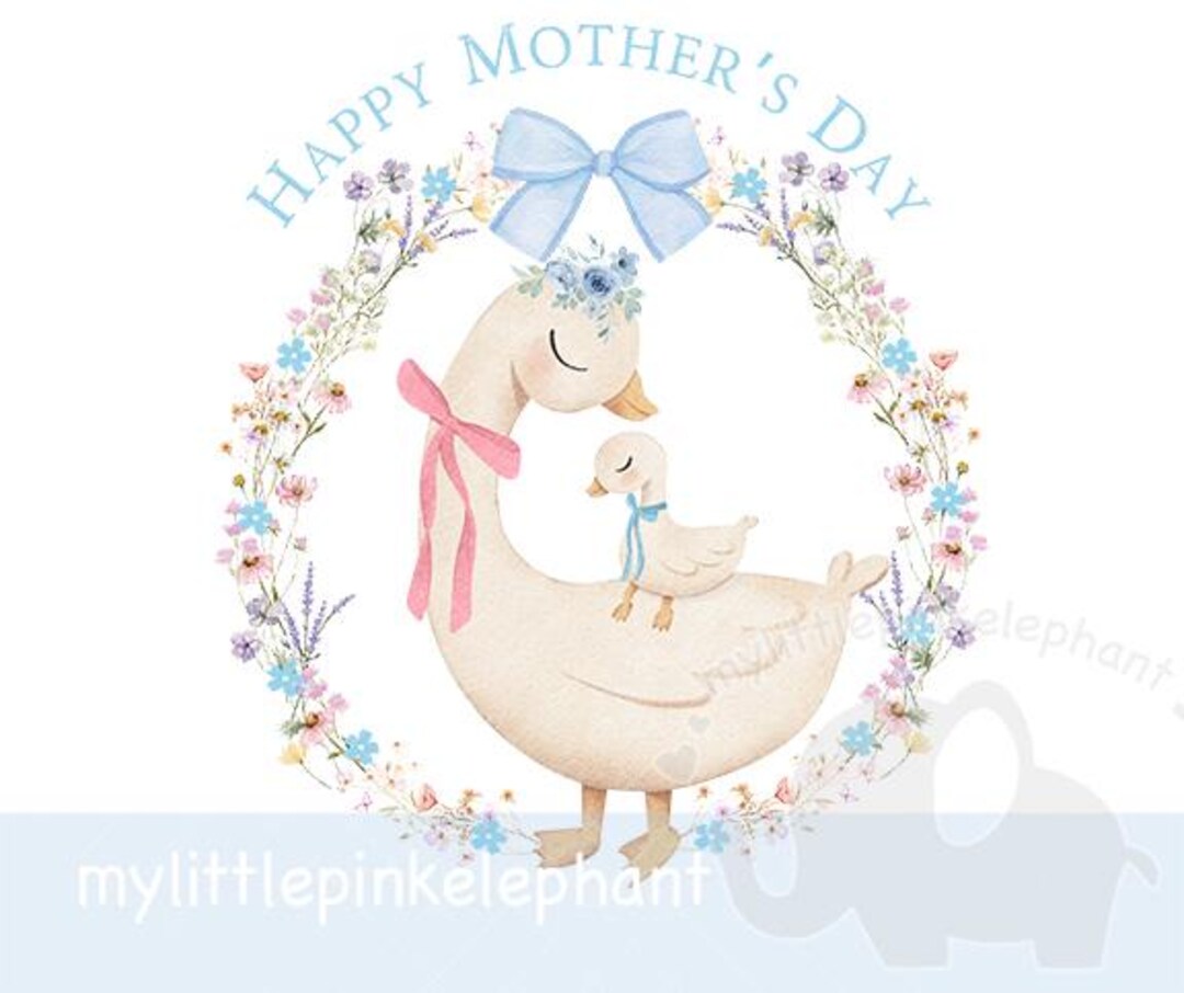 Silly Goose Mamma Our First Mother's Day Mummy & Baby Goose Pink ...