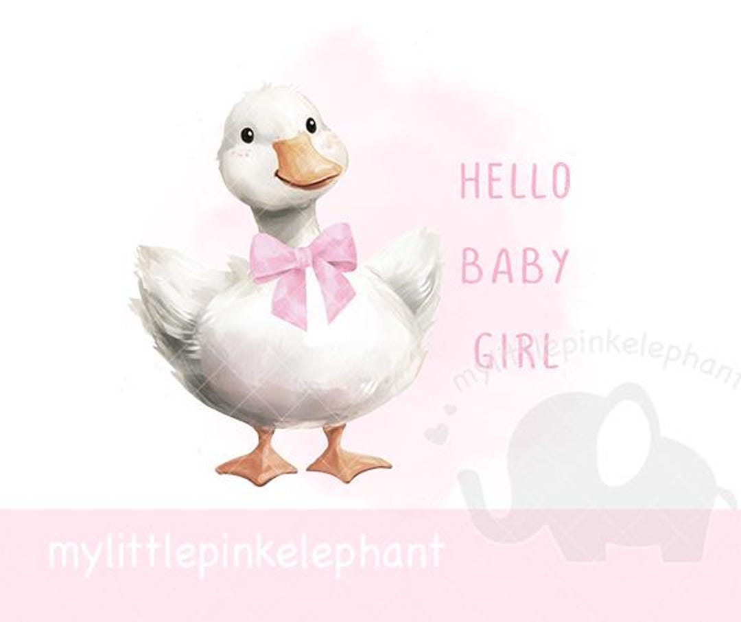 Hello Baby Girl Pink Goose PNG, New Baby Sublimation Design, Baby Girl ...