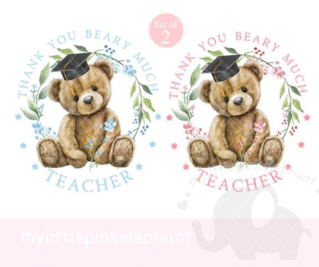 Thank You so Beary Much Teacher PNG, Teacher Bear Sublimation Design ...