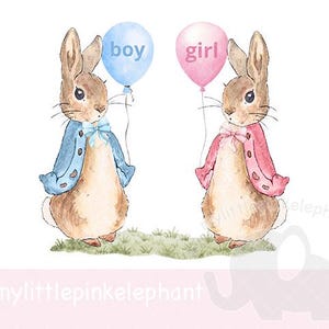 Pink & Blue Peter Rabbit PNG, Gender Reveal Girl or Boy What Will Baby ...