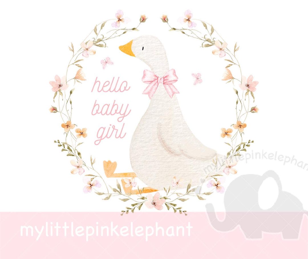 Hello Baby Girl Pink Goose Duck PNG, Sublimation Design, New Baby, Baby ...