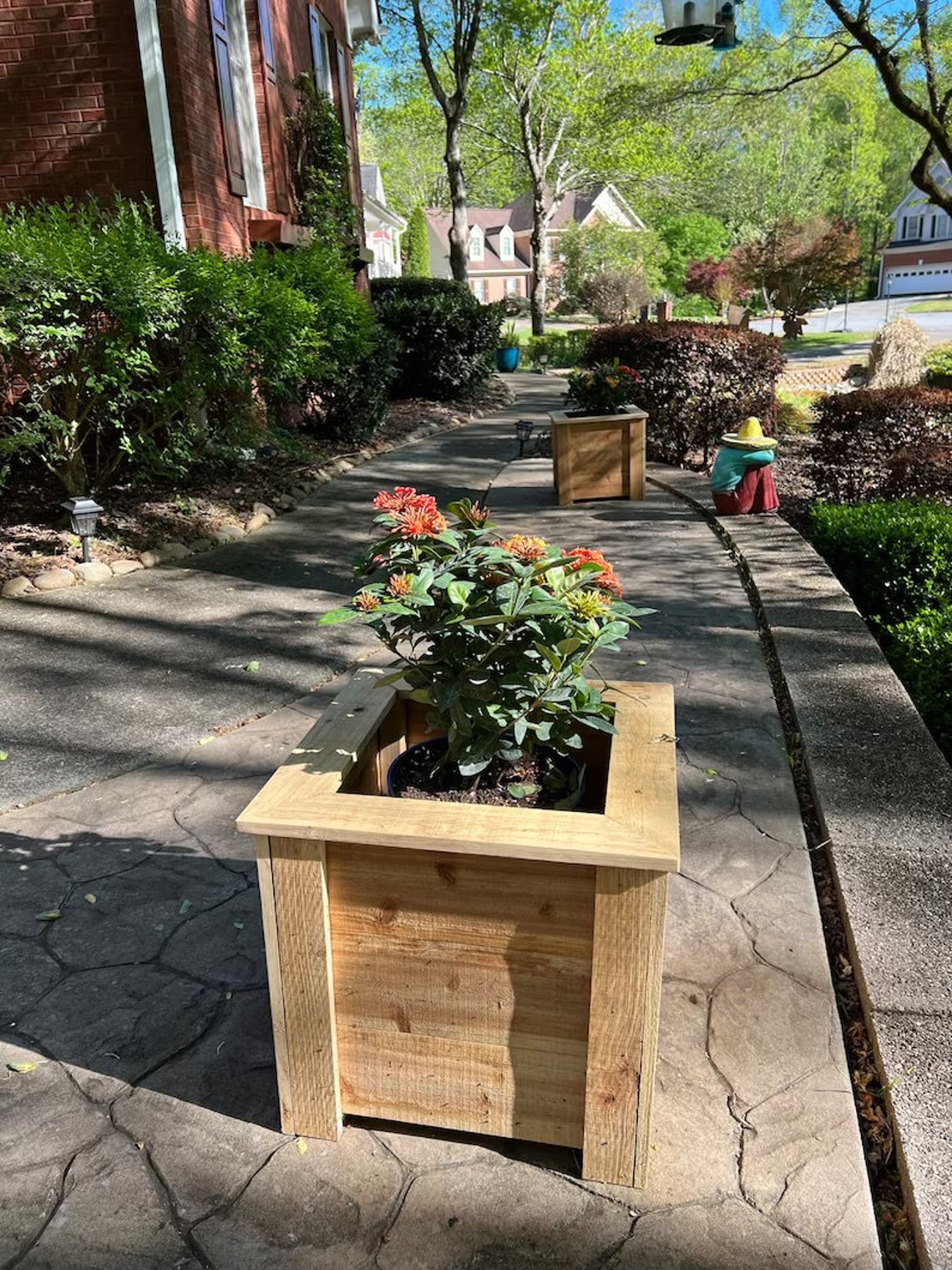 Cedar Planter Box for Outdoor & Indoor Medium Size Home Garden Plant ...