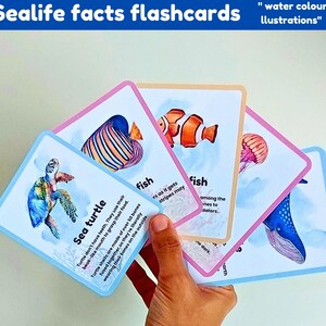 Sea Animals Facts Flashcards | Ocean Animals | Montessori Flashcards ...