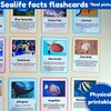 Ocean Facts Flash Cards Sea Animals Flashcards With Real Pictures ...
