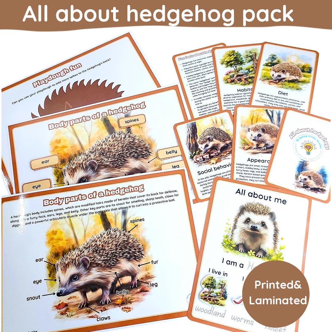All About Hedgehog Learning Pack | Hedgehog | Anatomy of a Hedgehog ...